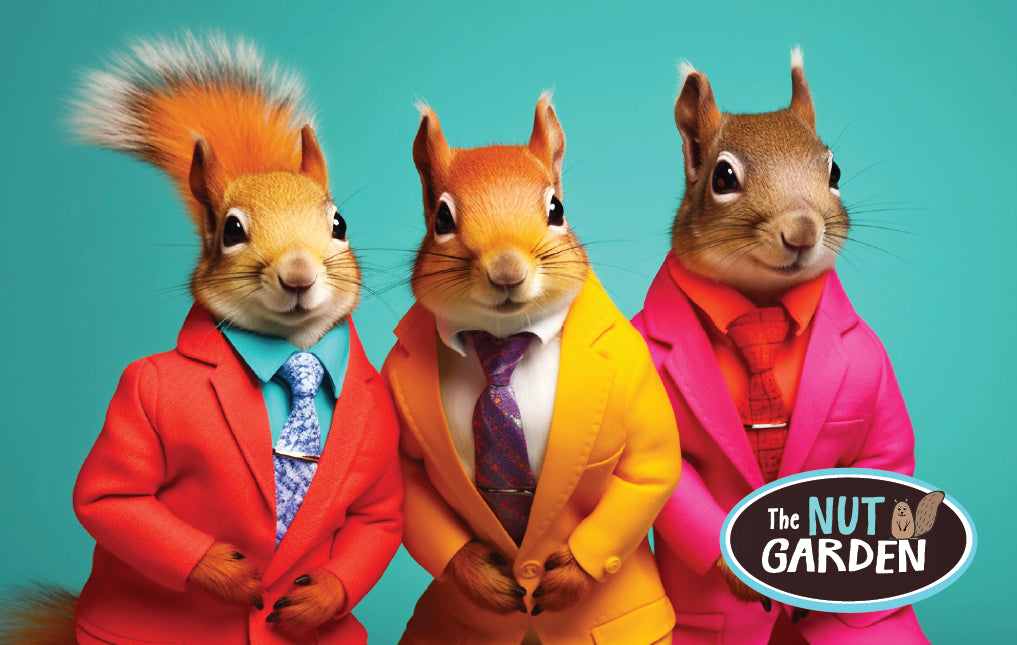 Gift Card: Squirrels with Swagger (Nut Garden) — The Nut Garden