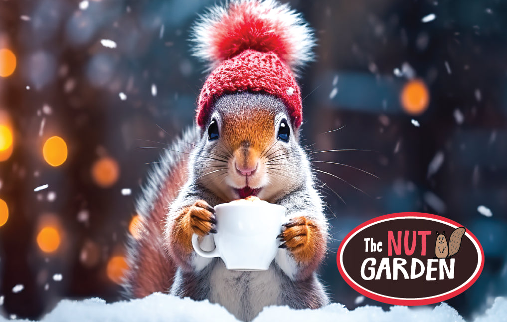 Gift Card: Christmas Squirrel (Nut Garden) — The Nut Garden