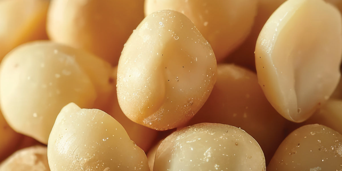 Bulk Macadamias, Raw Pieces Style 4