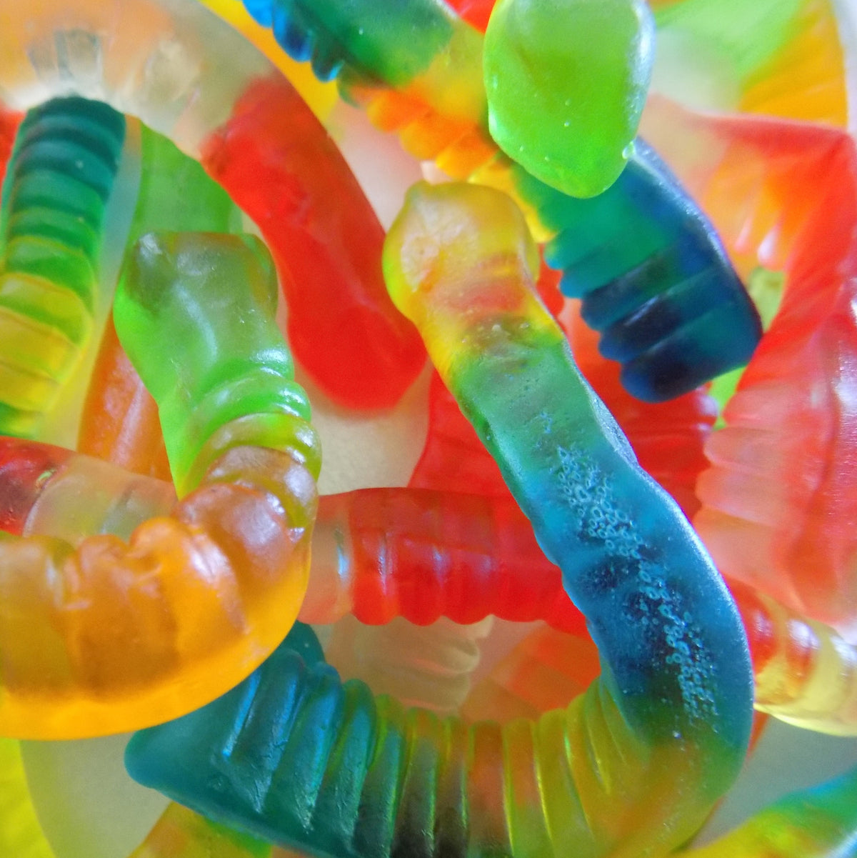 Gummi Worms (12 oz) — The Nut Garden